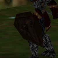 Bronze Shield | Aidyn Chronicles: The First Mage Wiki | Fandom