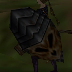 Chaos Shield | Aidyn Chronicles: The First Mage Wiki | Fandom