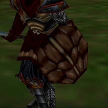 Turtleshell Shield | Aidyn Chronicles: The First Mage Wiki | Fandom