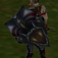 Heater Shield | Aidyn Chronicles: The First Mage Wiki | Fandom