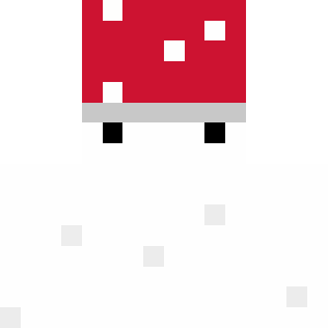 Echo | Aidyn MC Wiki | Fandom