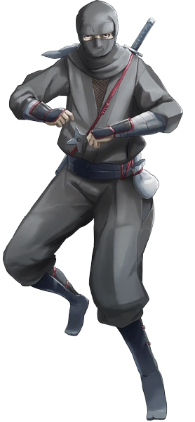 Ninja (Unit) | Aigis Wiki | Fandom