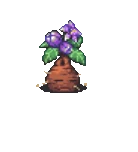 Rose | Aigis Wiki | Fandom