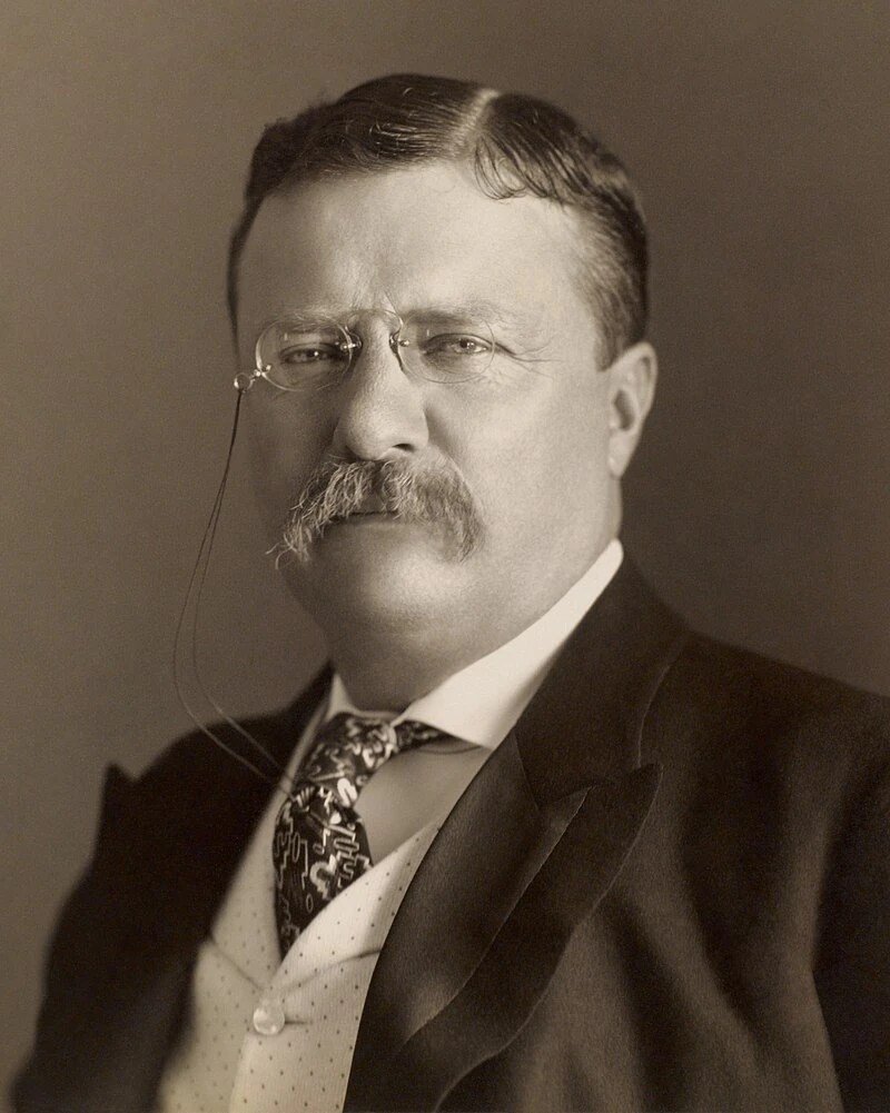 Theodore Roosevelt | AikosMommy Wiki | Fandom