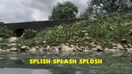 Splish Splash Splosh | AikosMommy Wiki | Fandom