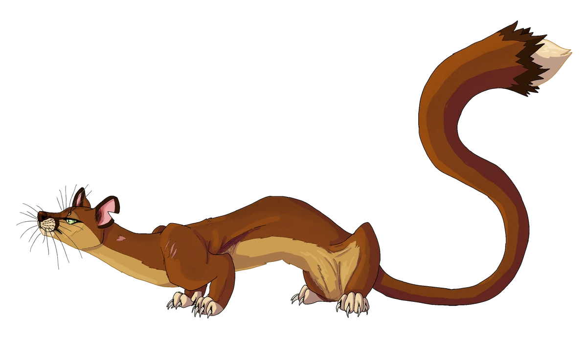 Dusken | Ailuros 9 lives Wiki | Fandom