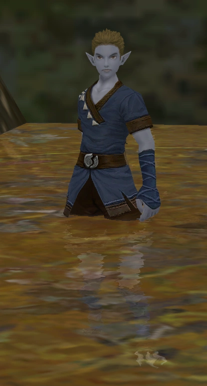 Needham | Aion Wiki | Fandom