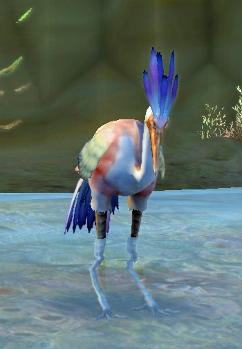 Brownbeak Airon | Aion Wiki | Fandom