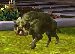 Pet Tog | Aion Wiki | Fandom
