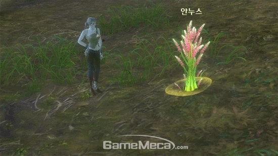 Gathering | Aion: the Tower of Eternity Wiki | Fandom