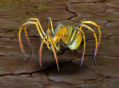 Tiny Cave Arachna | Aion Wiki | Fandom