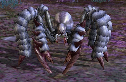 Stinging Arachna | Aion Wiki | Fandom