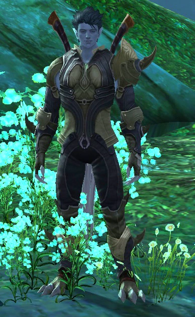 Observatory Guard | Aion Wiki | Fandom