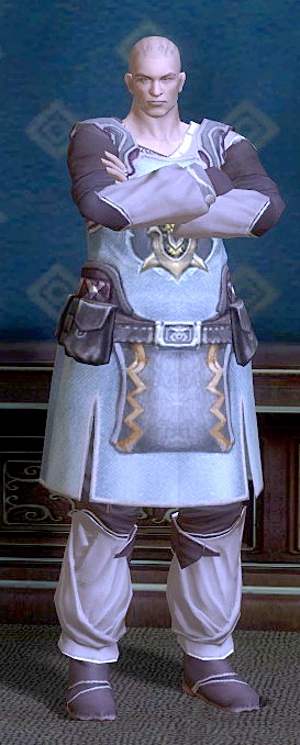 Aegist | Aion Wiki | Fandom