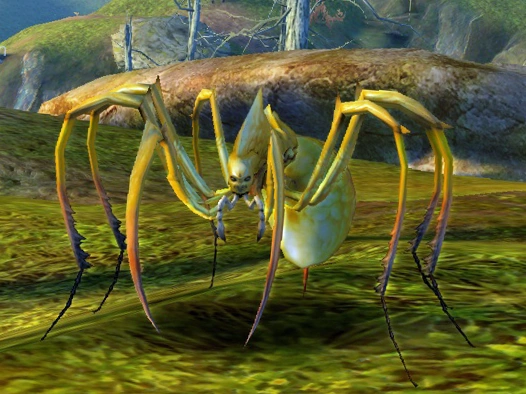 Arachna | Aion Wiki | Fandom