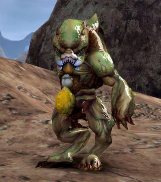 aion database leather doit coloring book pages