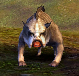 Wild Spotted Tog | Aion Wiki | Fandom