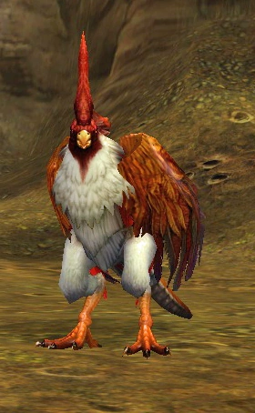 Category:Peckus | Aion Wiki | Fandom