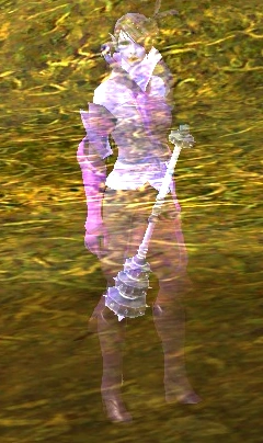 Apprentice Healer Soul | Aion Wiki | Fandom