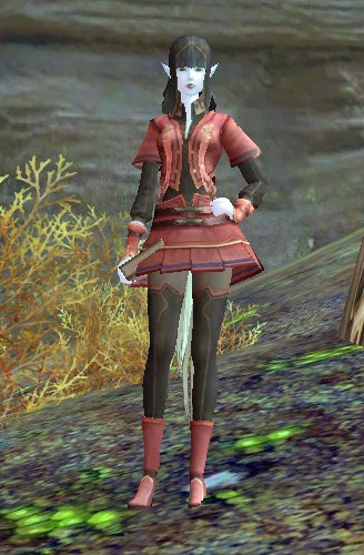 Citadel Mage | Aion Wiki | Fandom