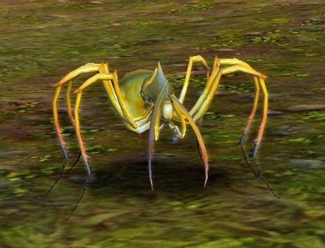 Tiny Arachna | Aion Wiki | Fandom