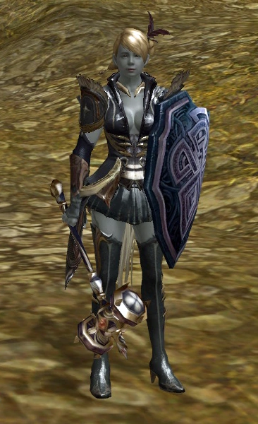 Archon Volunteer | Aion Wiki | Fandom