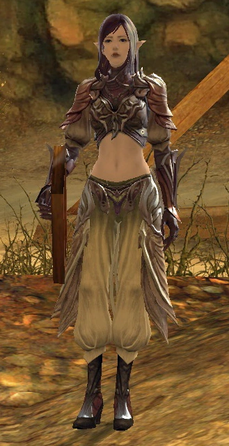 Category:Desert Garrison NPCs | Aion Wiki | Fandom