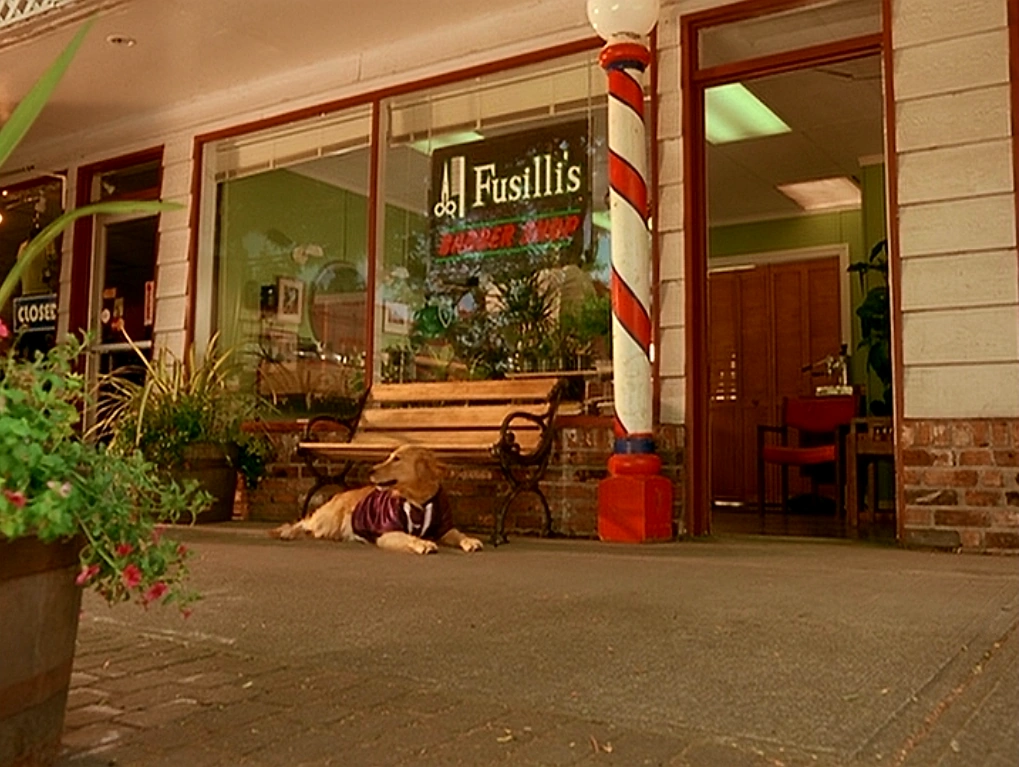 Fusilli's Barber Shop | Air Bud Wiki | Fandom
