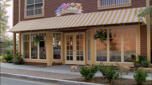 The Pet Boutique | Air Bud Wiki | Fandom