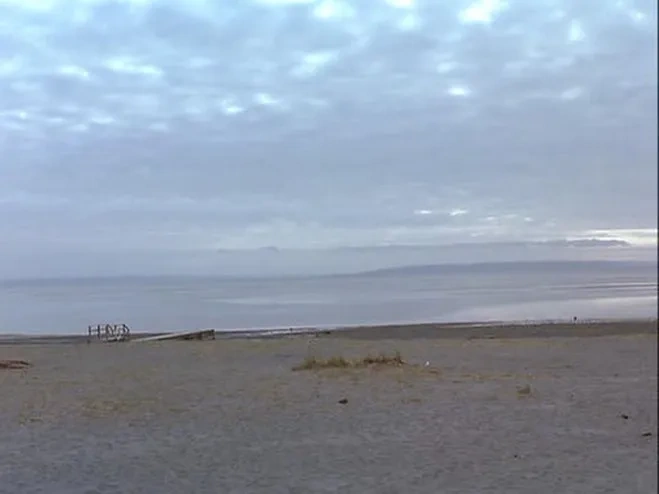 Fernfield Beach | Air Bud Wiki | Fandom