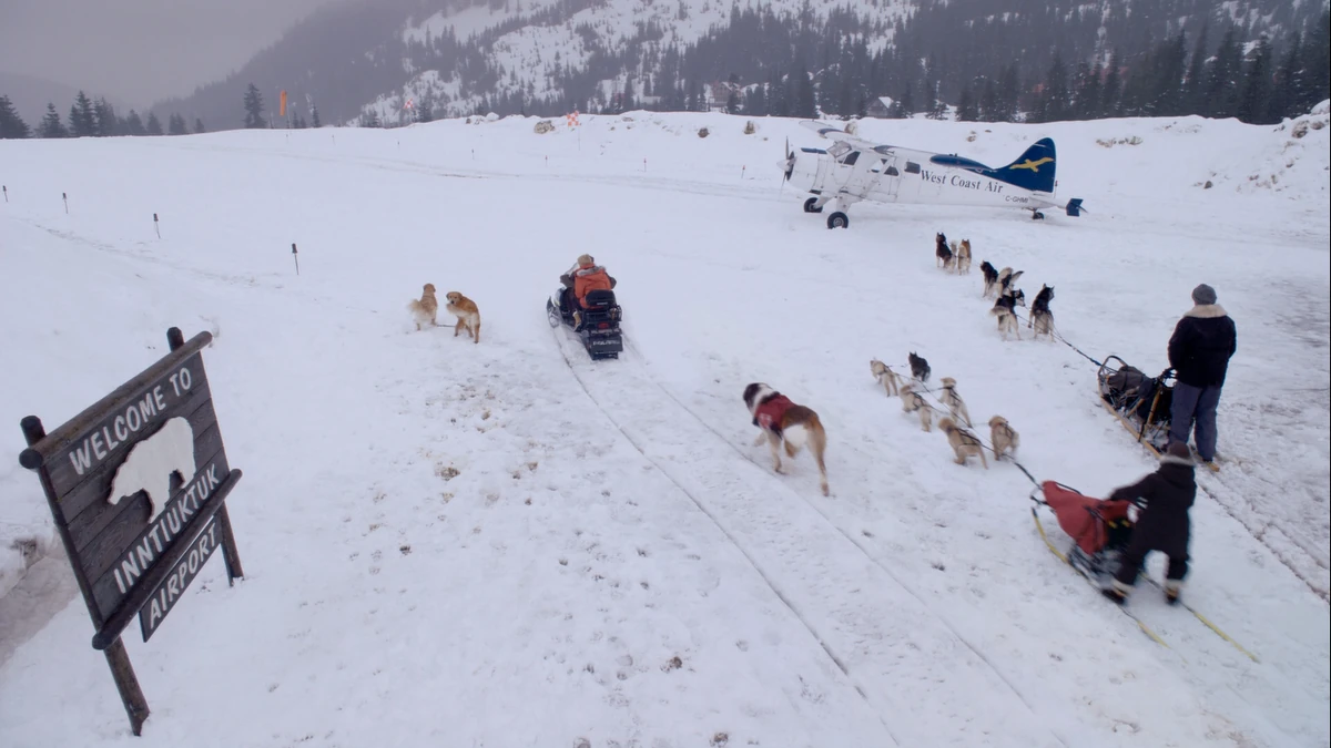 Ferntiuktuk Airport | Air Bud Wiki | Fandom