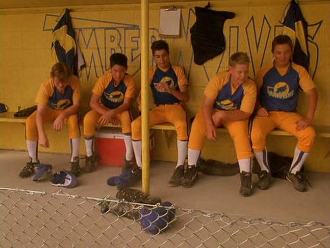 Fernfield Timberwolves (baseball) | Air Bud Wiki | Fandom