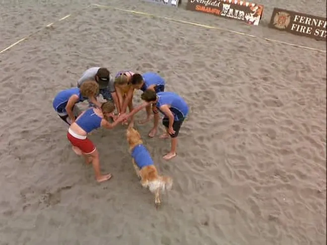 Fernfield Timberwolves (volleyball) | Air Bud Wiki | Fandom