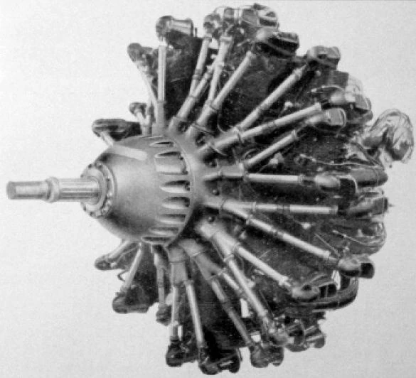 Piaggio P.XI | Aircraft Вики | Fandom