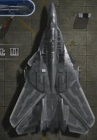 F-14G Hellcat II | Airforce Delta Wikia | Fandom