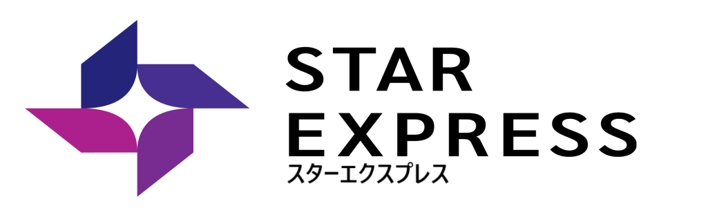 Star Express | Airline Empires Wikia | Fandom