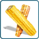 Corn Cobs | Airport City Wiki | Fandom