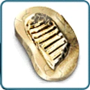 Armstrong Footprint | Airport City Wiki | Fandom