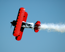 Samson | Air Show Wiki | Fandom