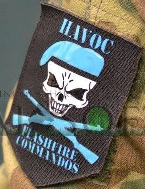 Flashfire Commandos | Airsoft | Fandom