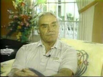 Ernest Borgnine | Airwolf Wiki | Fandom