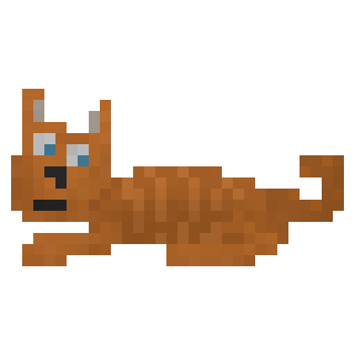 Cat | Ais Wiki | Fandom