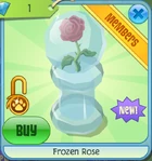 Winter Gala Bundle | Animal Jam Item Worth Wiki | Fandom