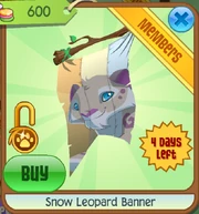 Lovely Leopards Collection | Animal Jam Item Worth Wiki | Fandom