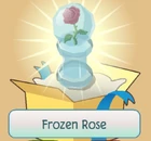 Winter Gala Bundle | Animal Jam Item Worth Wiki | Fandom