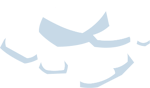 Snow Patch | Animal Jam Item Worth Wiki | Fandom