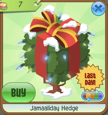 Jamaaliday Hedge | Animal Jam Item Worth Wiki | Fandom
