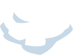 Snow Patch | Animal Jam Item Worth Wiki | Fandom