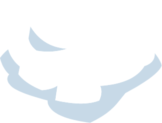 Snow Patch | Animal Jam Item Worth Wiki | Fandom