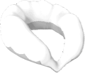 Winter Gala Bundle | Animal Jam Item Worth Wiki | Fandom